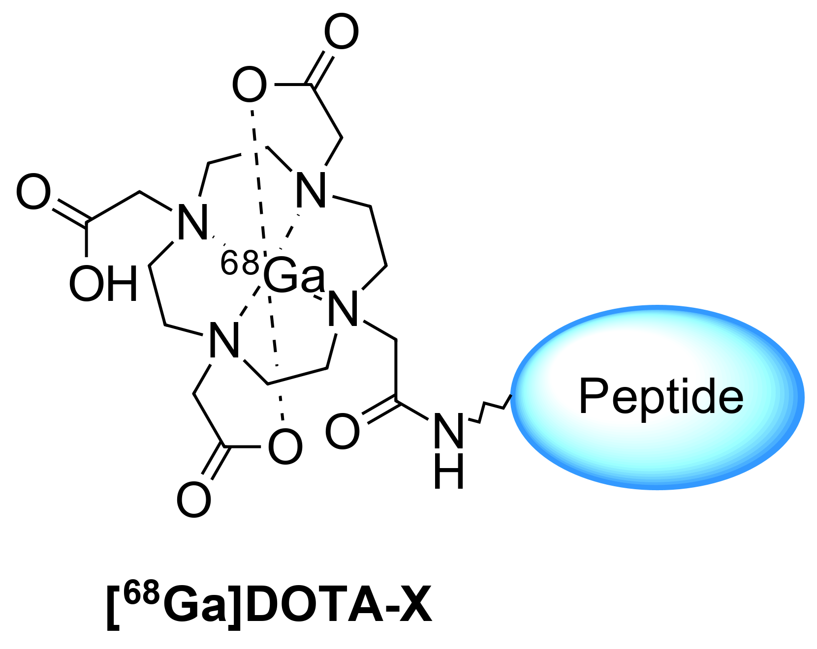 Labelled peptides (Ga) | Trasis